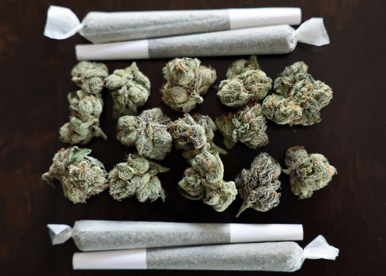 Using Miracle Grow On Marijuana Weekly Cannabis Stock News: Scotts