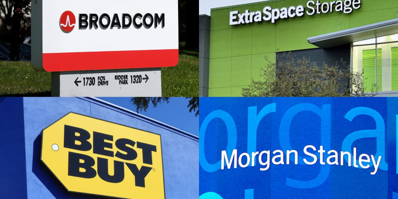 15 companies that have rewarded long-term shareholders with high ...