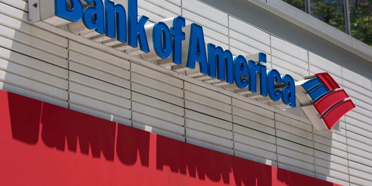 Bank of America sees revenue rise across the board in upbeat sign for ...