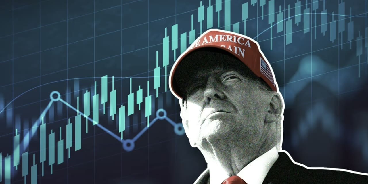 ‘I don’t care about Greenland’: How will President Trump 2.0 impact ...