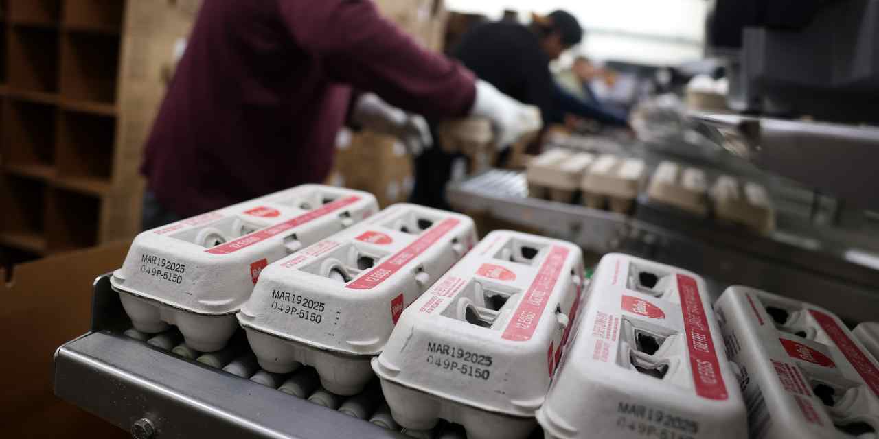 High egg prices are getting the DOJ’s attention. Will that help ...