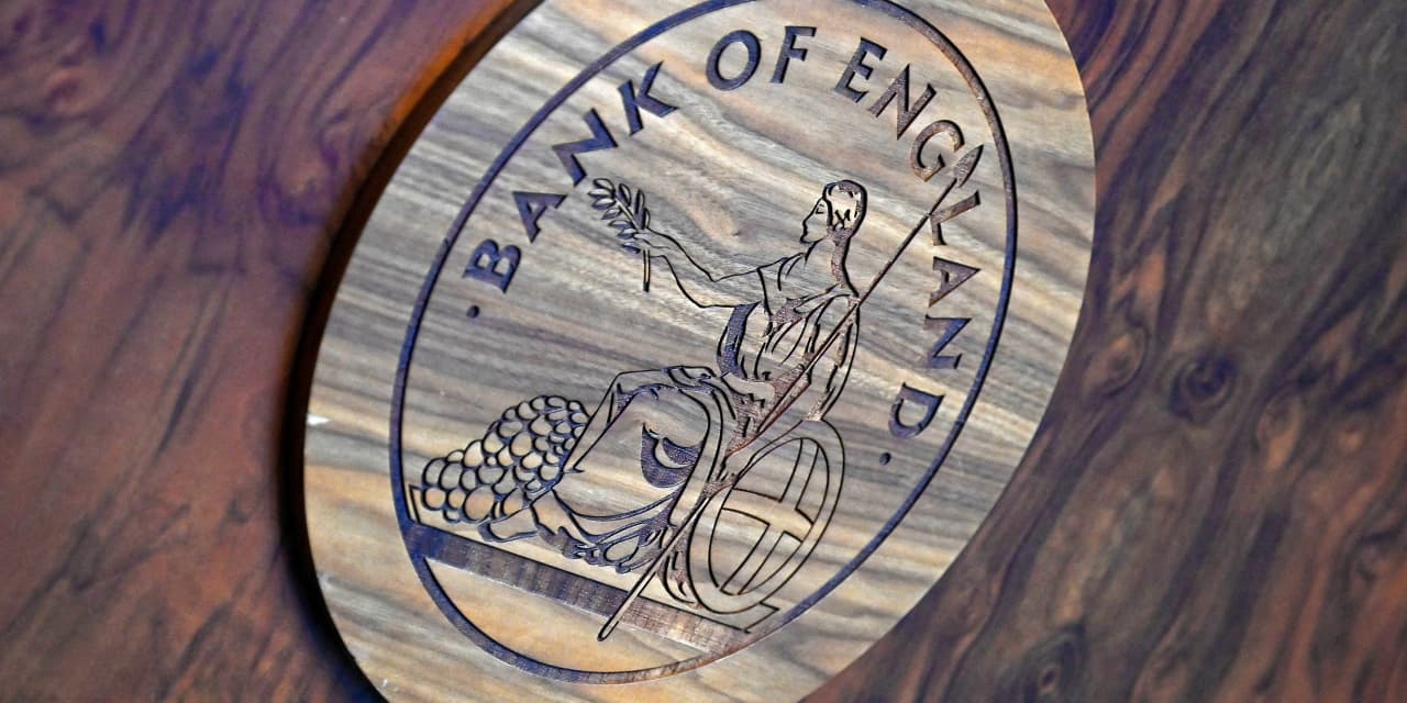 British economist named as new member of Bank of England’s rates ...