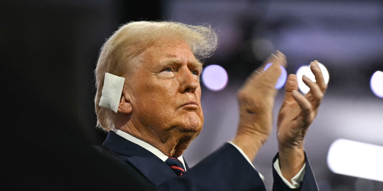 These stocks stand to benefit if a Trump White House adopts a tougher ...