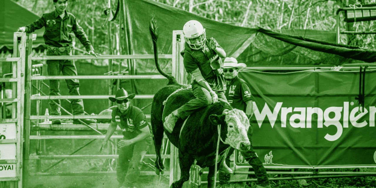 As stocks power higher, investors feel they have no choice but to keep ...