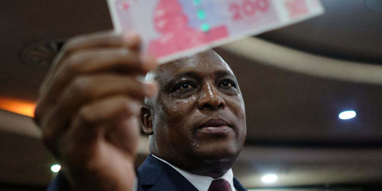 Zimbabwe’s new gold-backed currency, the ZiG, is on a roll - MarketWatch