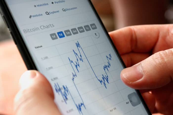 Who owns bitcoin? Roughly 80% are held by long-term investors: report ...