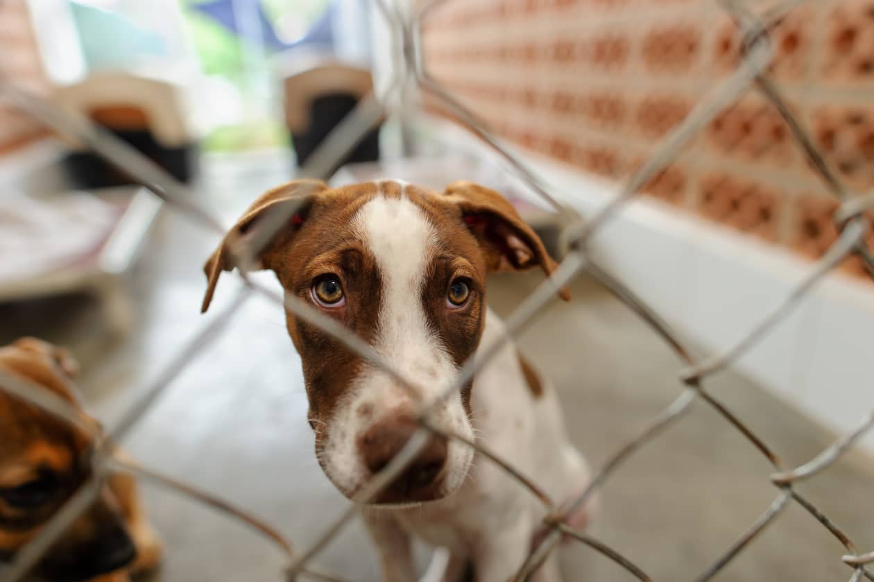 How to check out a charity to see where your donated dollars really go ...