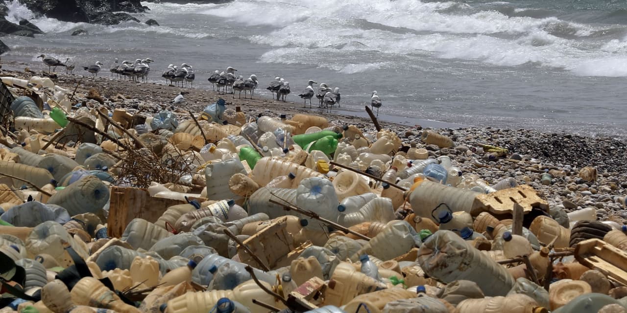 Coca-Cola, PepsiCo and Nestlé top ’10 worst plastic polluters’ of 2020 ...