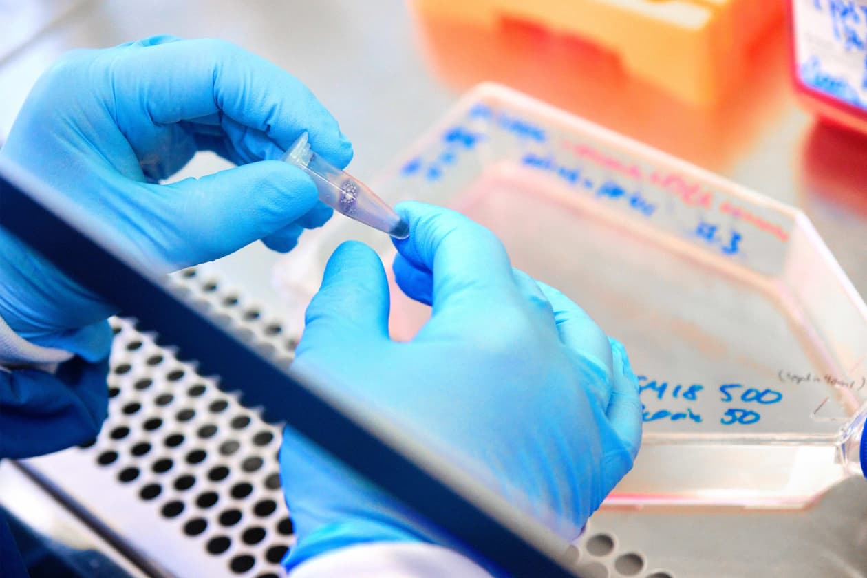 Zealand Pharma shares surge after positive results of weight-loss drug ...