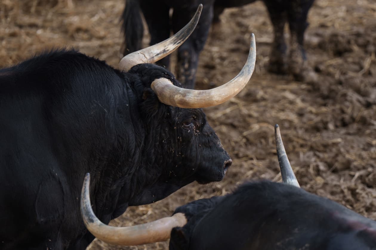 This market maven raised his S&P 500 target three times this year. Now ...