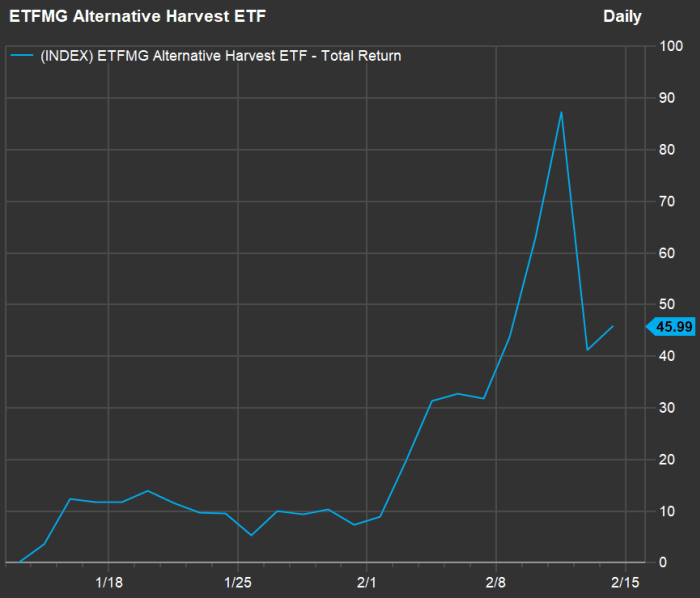 Opinion: The stock market seems to be a random number generator ...
