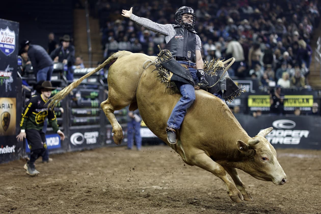 Why the bull market should last until at least October - MarketWatch