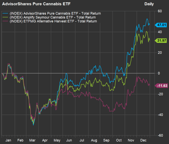 If you want to get rich with marijuana stocks, you need to know the ...