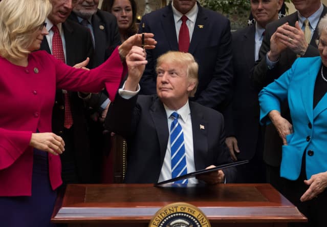 Trump 'absolutely' would try to stay president forever if elected: Liz ...