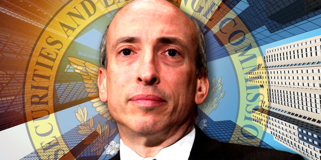 Progressive hopes for a radical SEC agenda face a unicorn problem ...