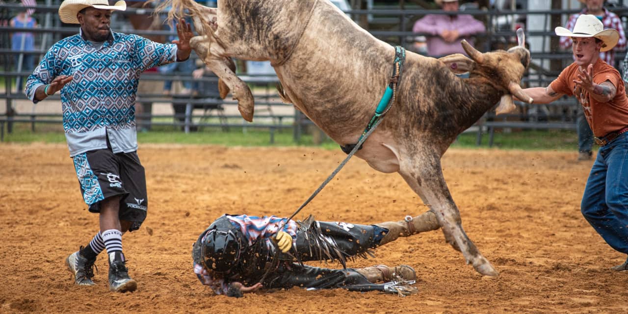 Opinion: Here’s proof that the bull market is alive and kicking ...