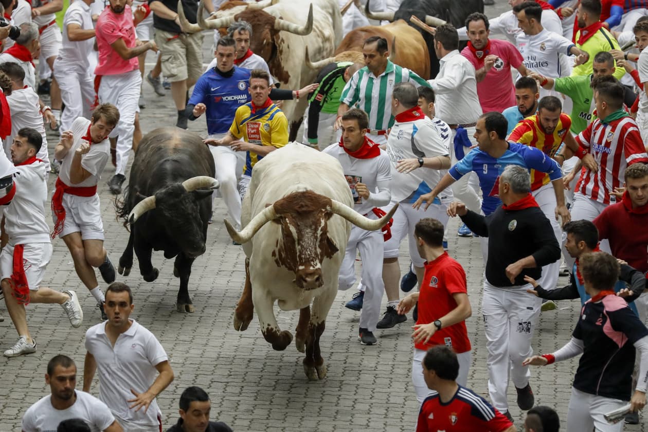 Opinion: Bulls control the stock market now and a new S&P 500 high is ...