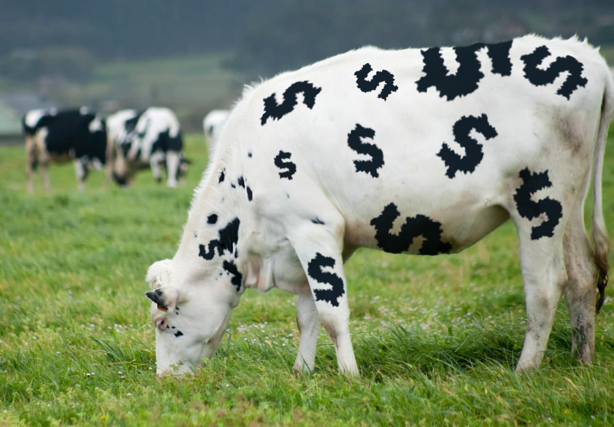 This cash-cow stock strategy is attracting lots of money. Here are its ...