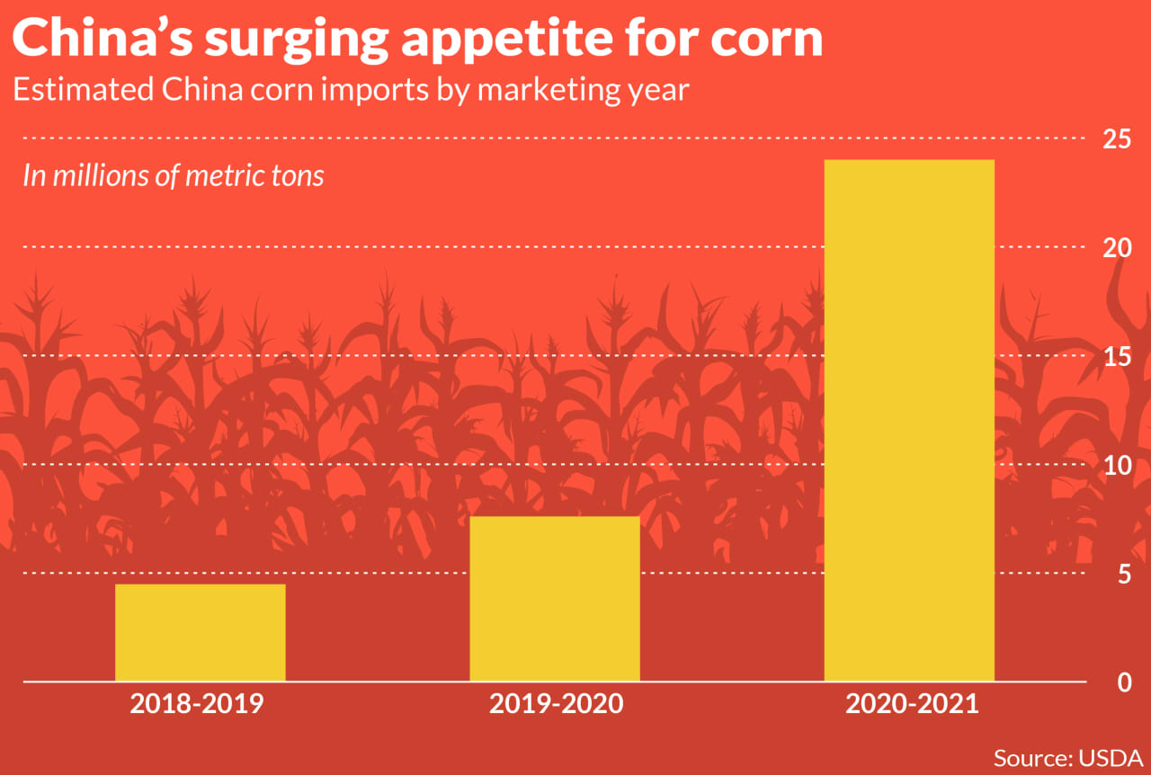How China helped push corn futures to a nearly 8-year high News new ...
