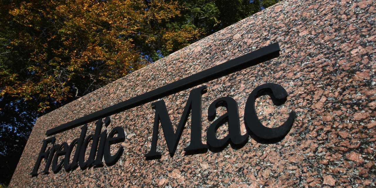 Fannie, Freddie stocks on the rise as GOP takeover boosts privatization ...