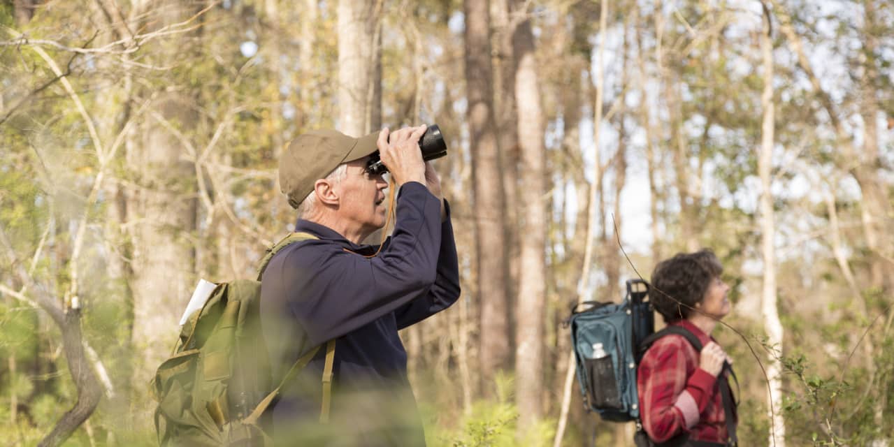 How to fight off boredom in retirement - MarketWatch