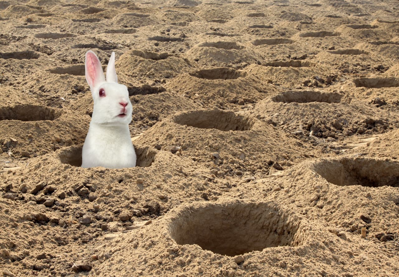 The dumb get dumber | Volley Talk