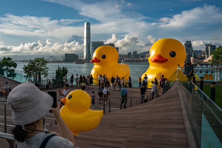 This isn't a bull market — it's a 'duck' market - MarketWatch