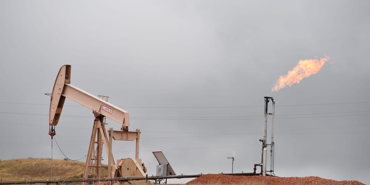 Ex-oil company head sentenced for not reporting to prison for plant ...