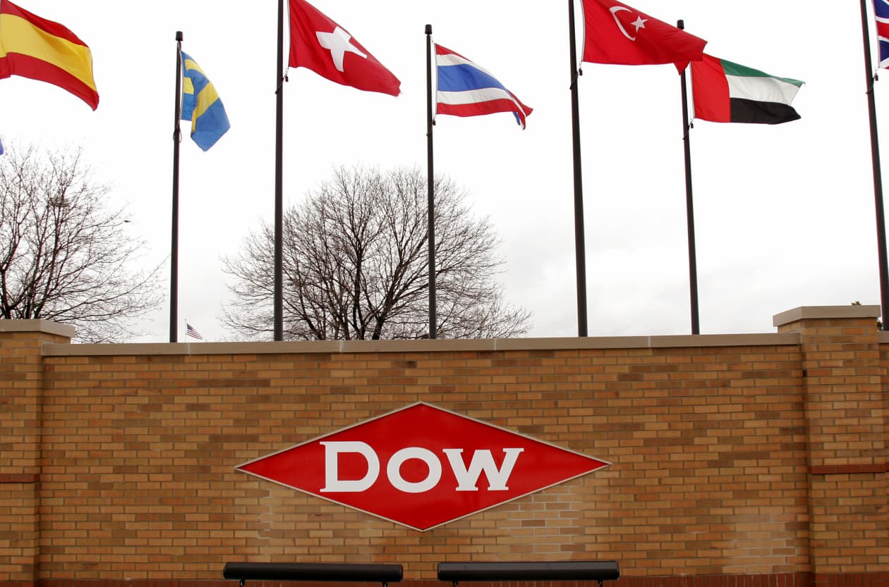 Dow swings to net loss as sales fall at all of its operating businesses ...