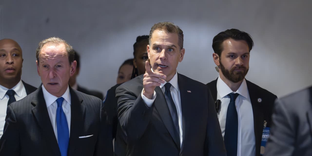 Transcript of Hunter Biden’s closed-door deposition released. These are ...