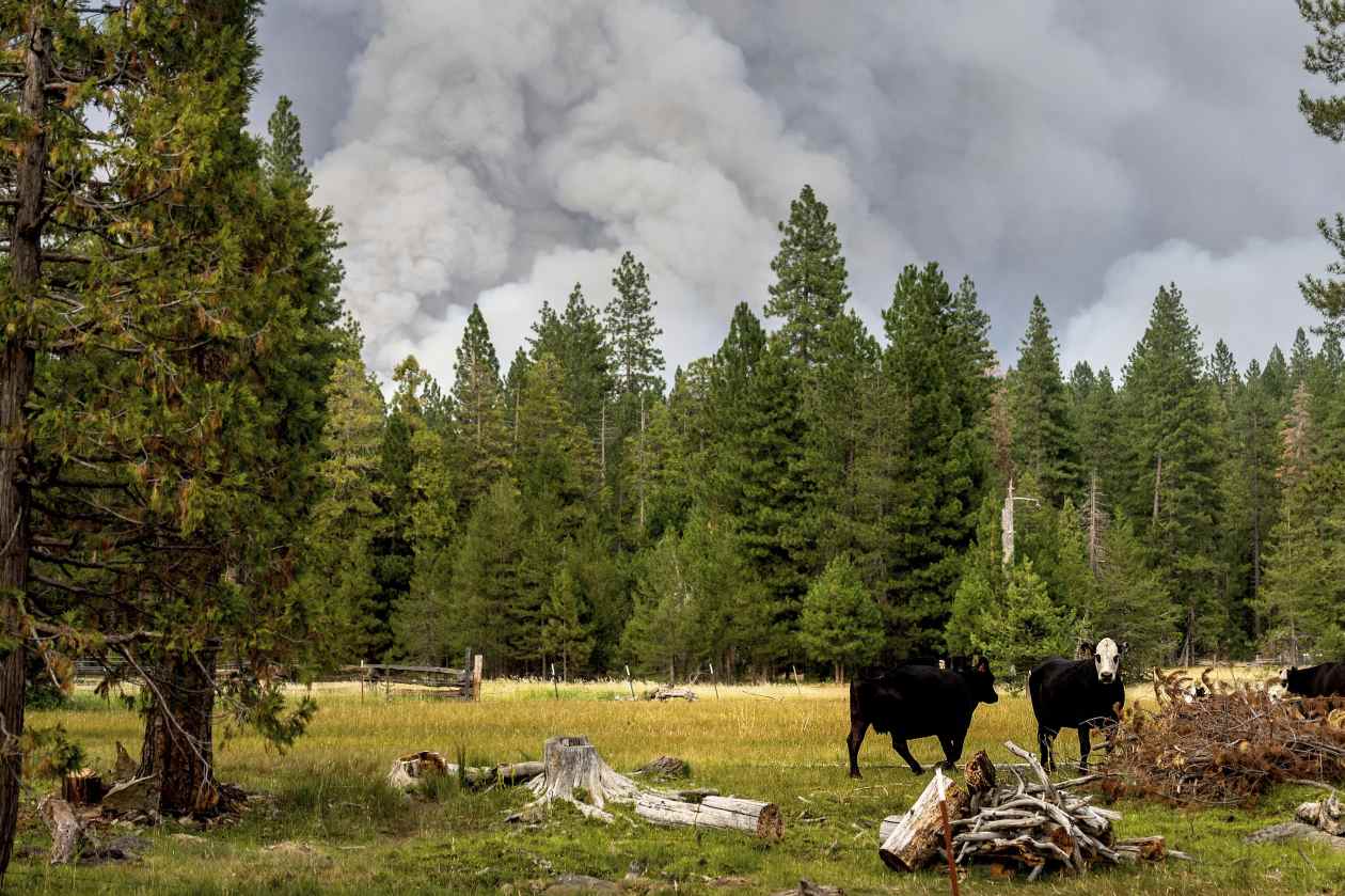 Huge California wildfire roars back to life as hot weather returns ...