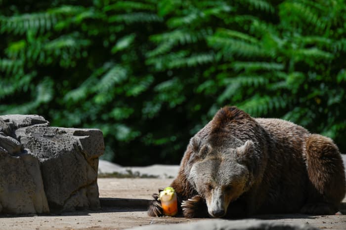 Why hedge-fund manager Doug Kass says his bearish case is now stronger ...