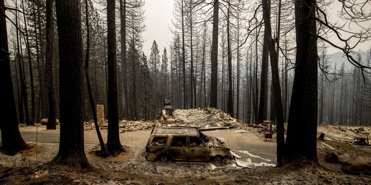 ‘We are seeing generational destruction of forests,’ California fire ...