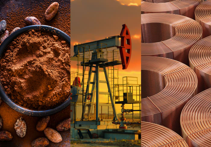 Cocoa prices hit another record, sweetening a broad rally for ...