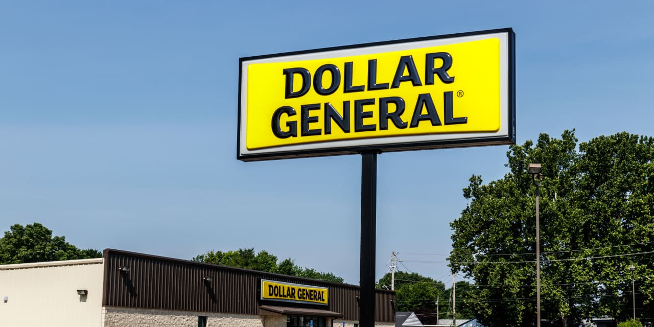 Dollar General says customers are buying less food because driving is ...