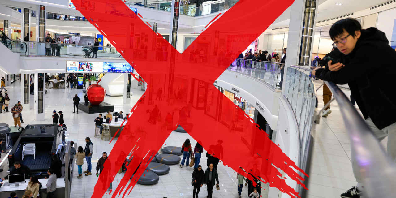Friday’s ‘economic blackout day’ boycott shows shoppers are fed up with ...