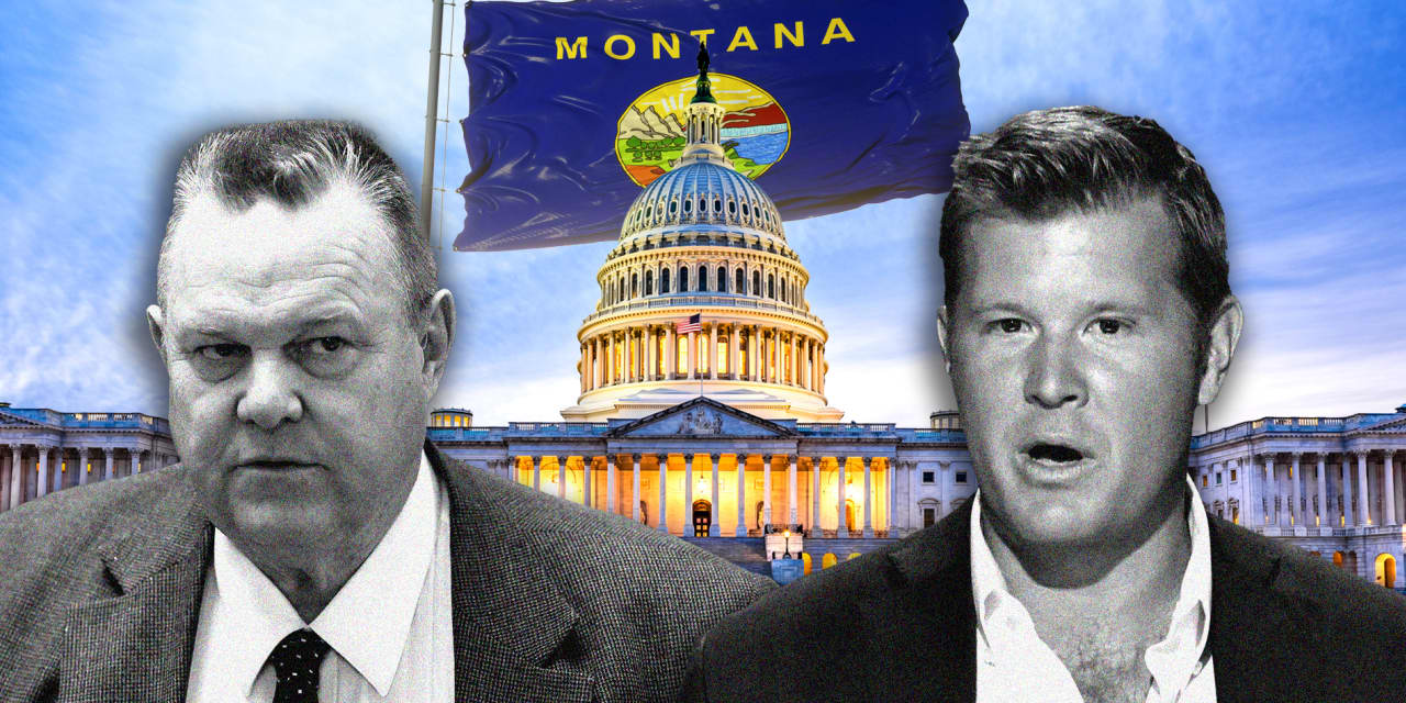 With Senate control at stake, these billionaires and groups have spent ...