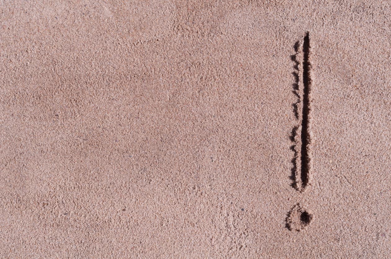 Top Bank of America strategist says the long bond is nearing the key ...