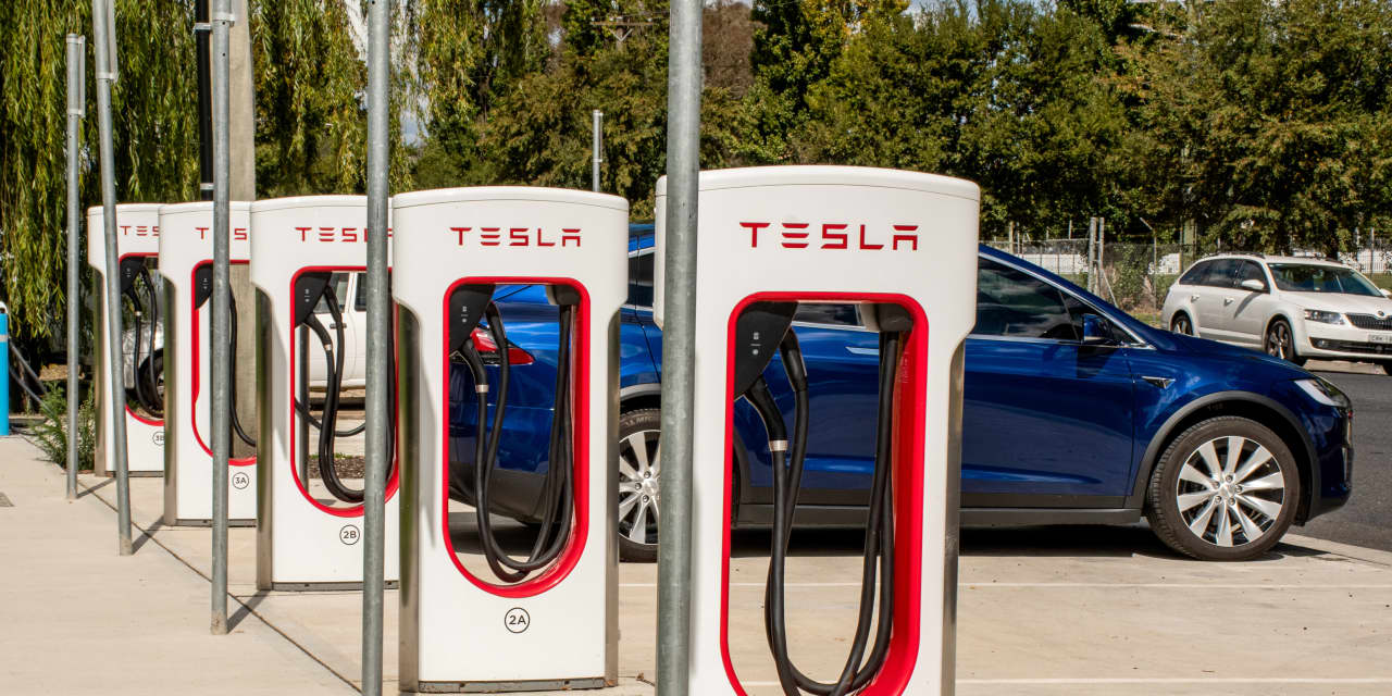 Tesla’s stock is still cheap, says manager of new ETF who made Musk’s ...