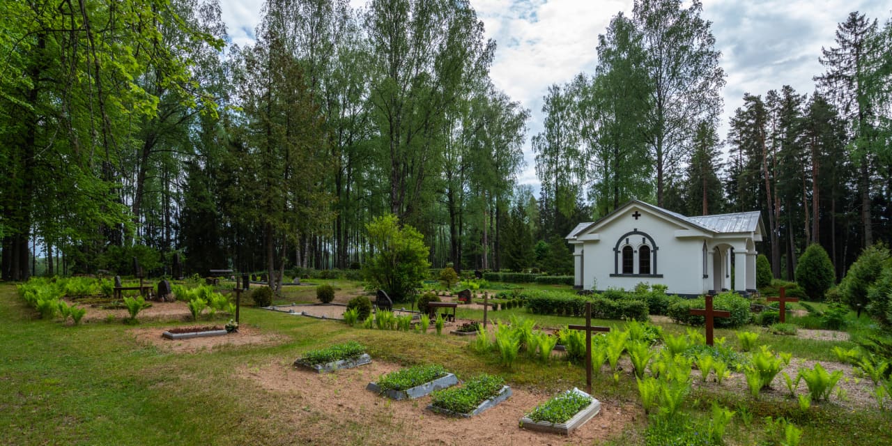 Body farms, human composting, conservation cemeteries: Why I wanted to ...