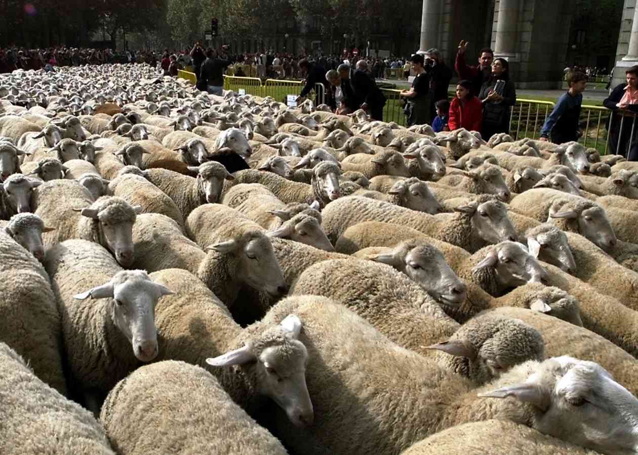 Follow the flows, this Citi strategist says, and get out of this ...