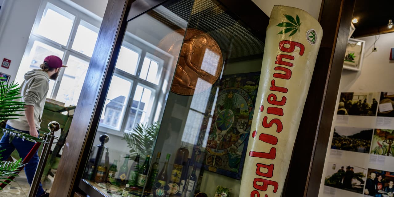 Cannabis stocks rise as Germany takes ‘first big step’ toward broader ...
