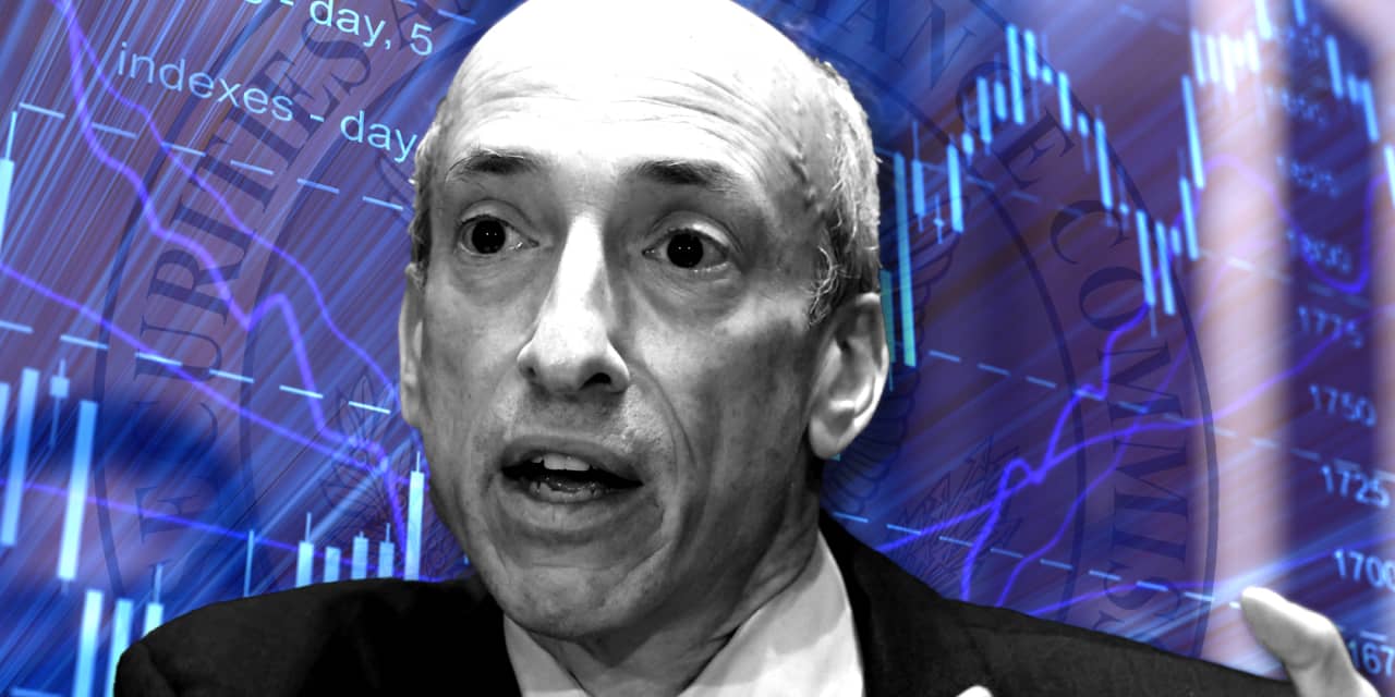 Gensler’s meme-stock reforms are meant to help retail traders. Some ...