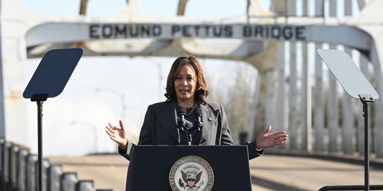 Right to vote is under attack in U.S., Harris and Garland say in ...
