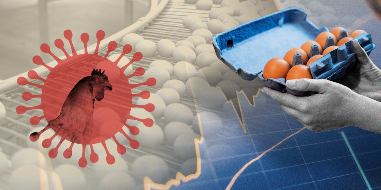 Why record-high egg prices won’t go down anytime soon — and it’s not ...