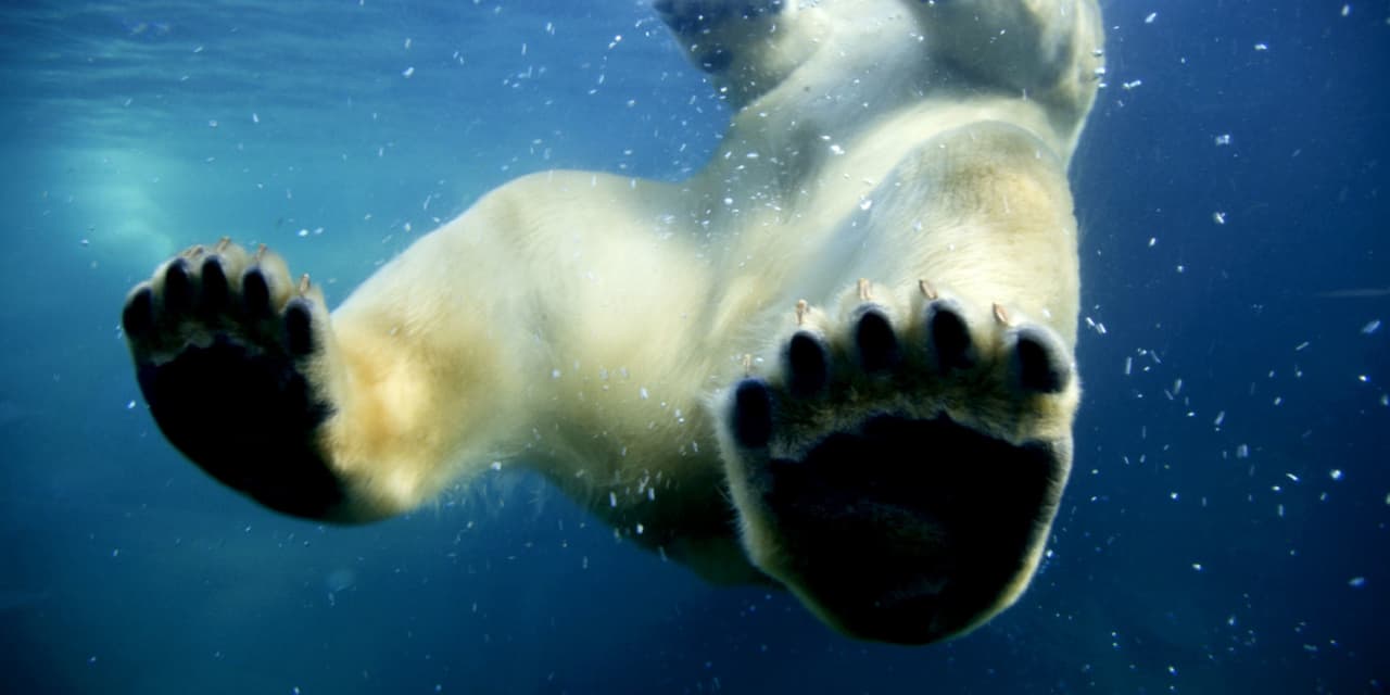 Stocks are falling fast but that doesn’t mean the worst will be over ...