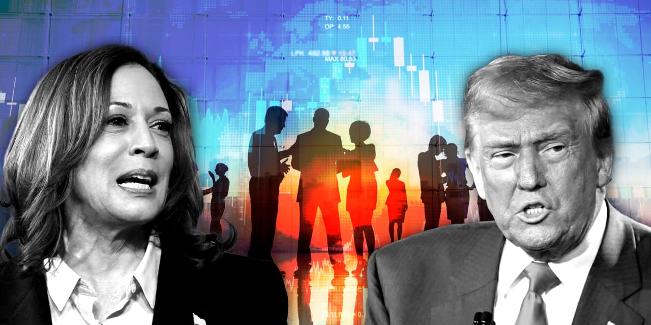 What stock-market investors are watching for as Trump and Harris debate ...