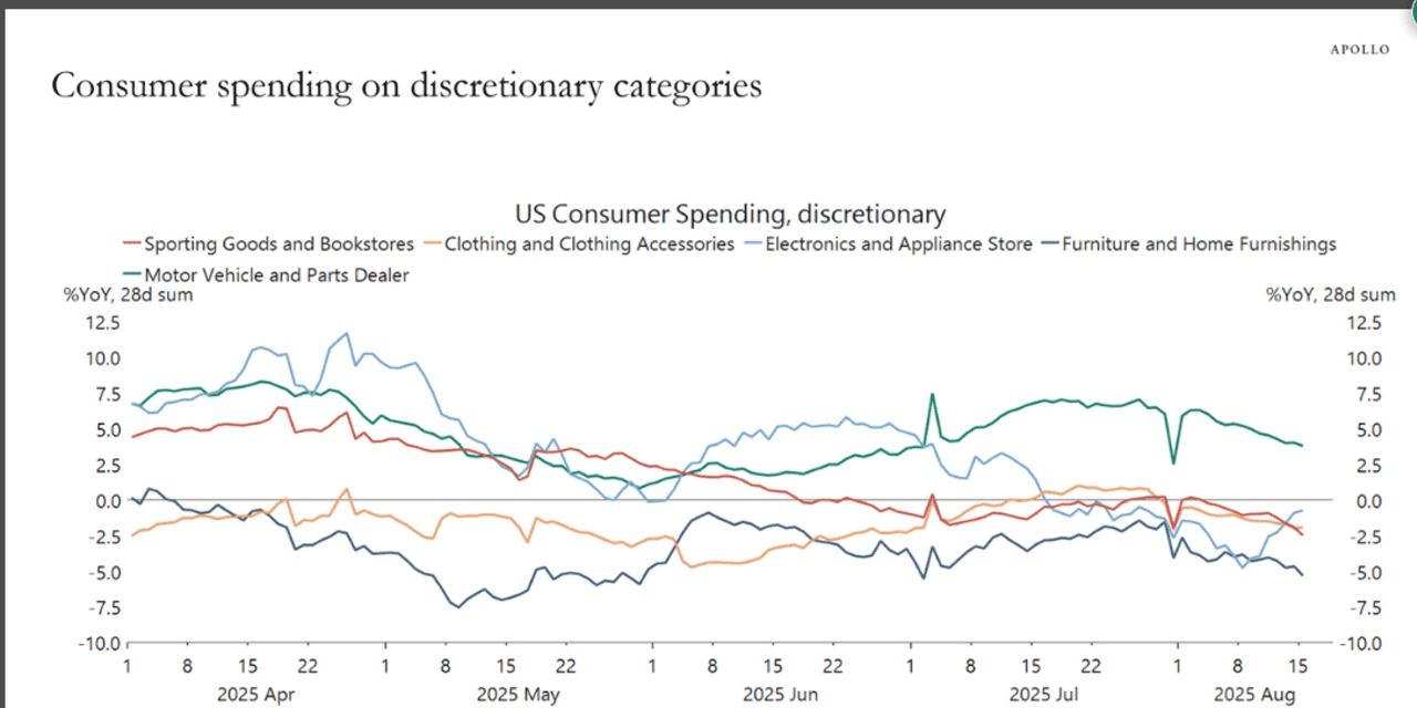 Consumer spending slowed recently in some sectors exposed to tariffs ...