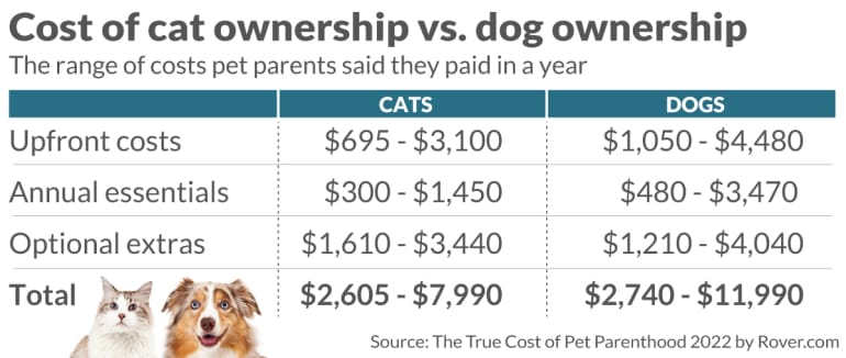 How Much Does Owning A Dog Cost Yearly