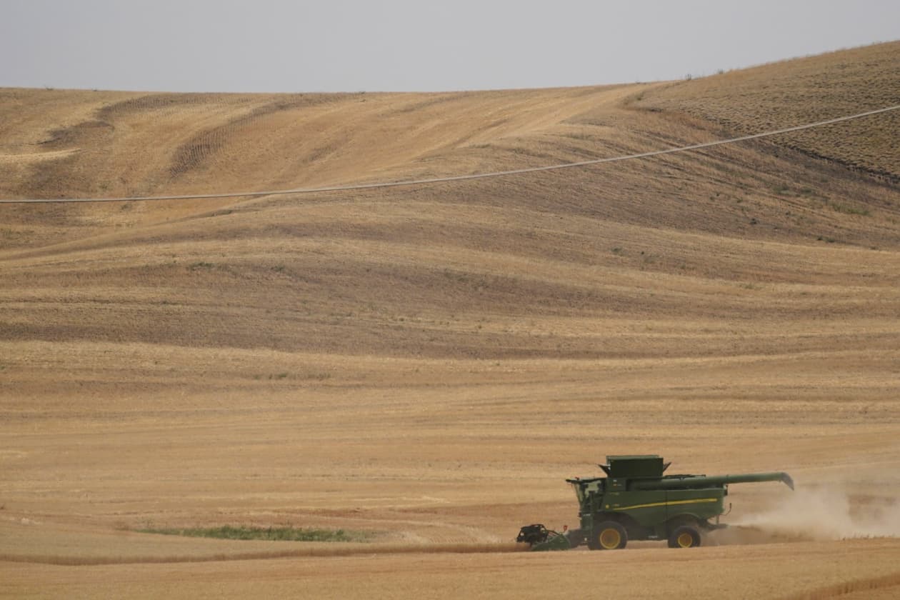 Opinion: Food inflation has soared in the U.S. And now farmers are ...